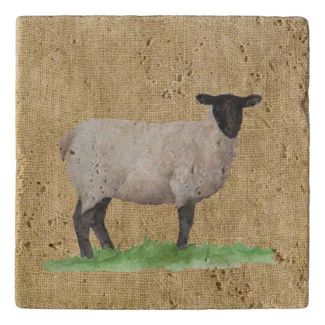 Watercolor Suffolk Sheep Trivet | Zazzle