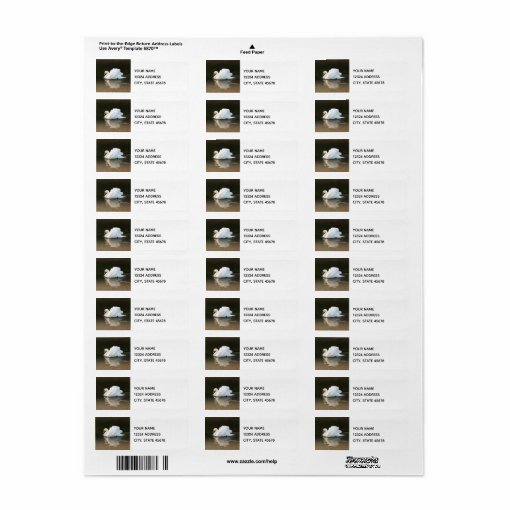 Watercolor Swan Label | Zazzle