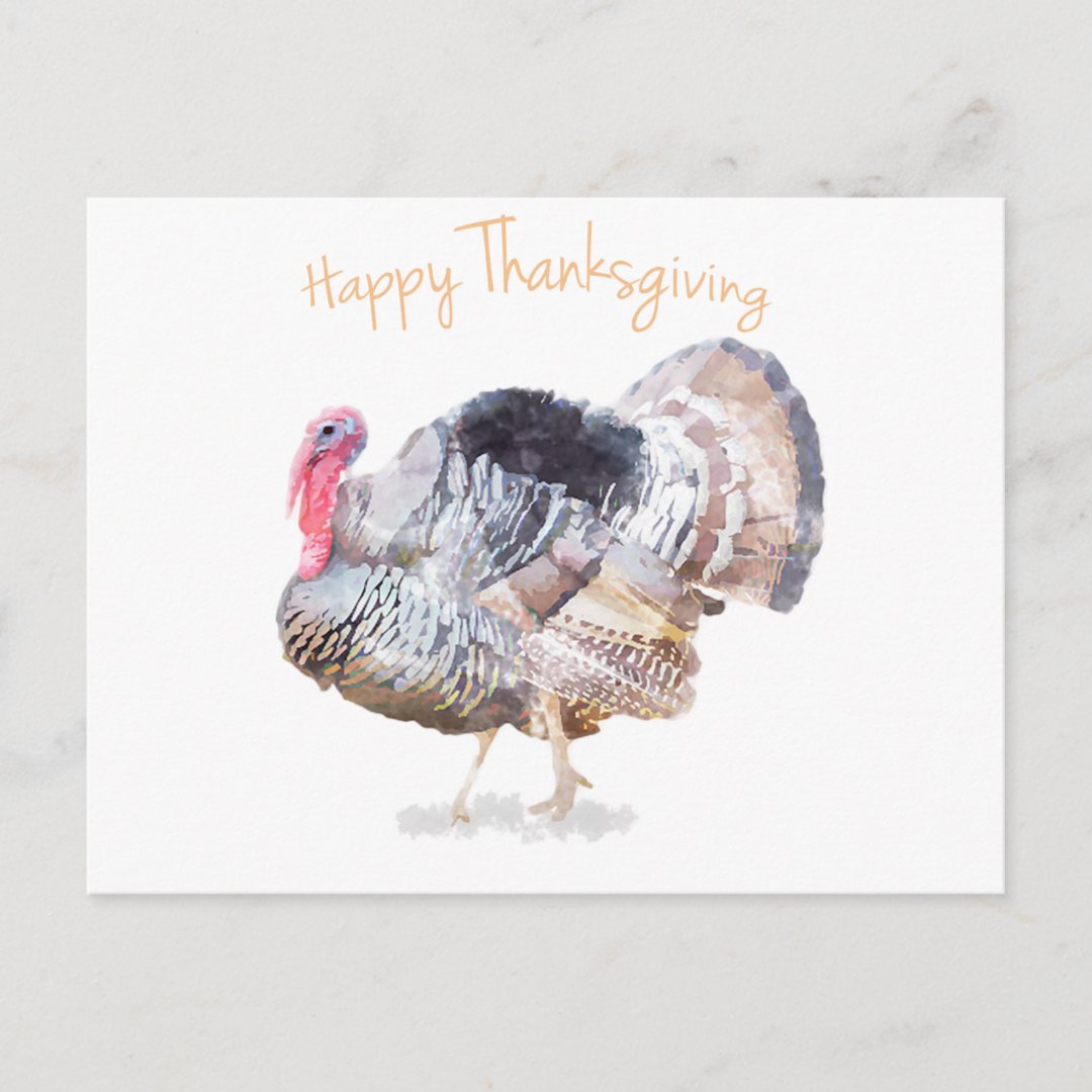 Watercolor Thanksgiving Turkey Postcard | Zazzle