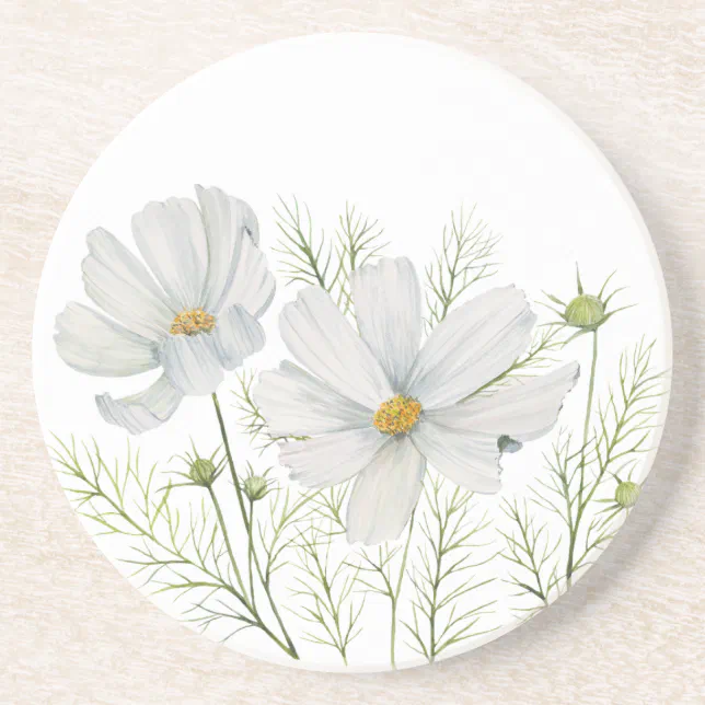 Watercolor White Cosmos Flowers Botanical Painting Coaster | Zazzle