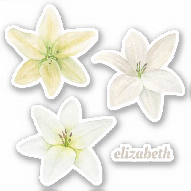 Watercolor white lily. Garden flowers. Floral Sticker | Zazzle