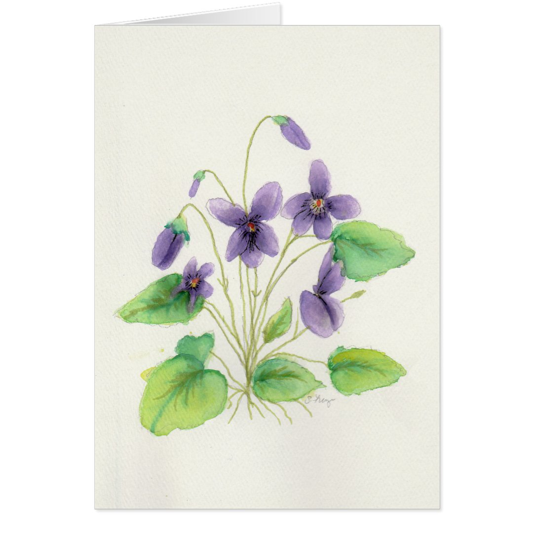 Watercolor Wild Violets Birthday Card | Zazzle