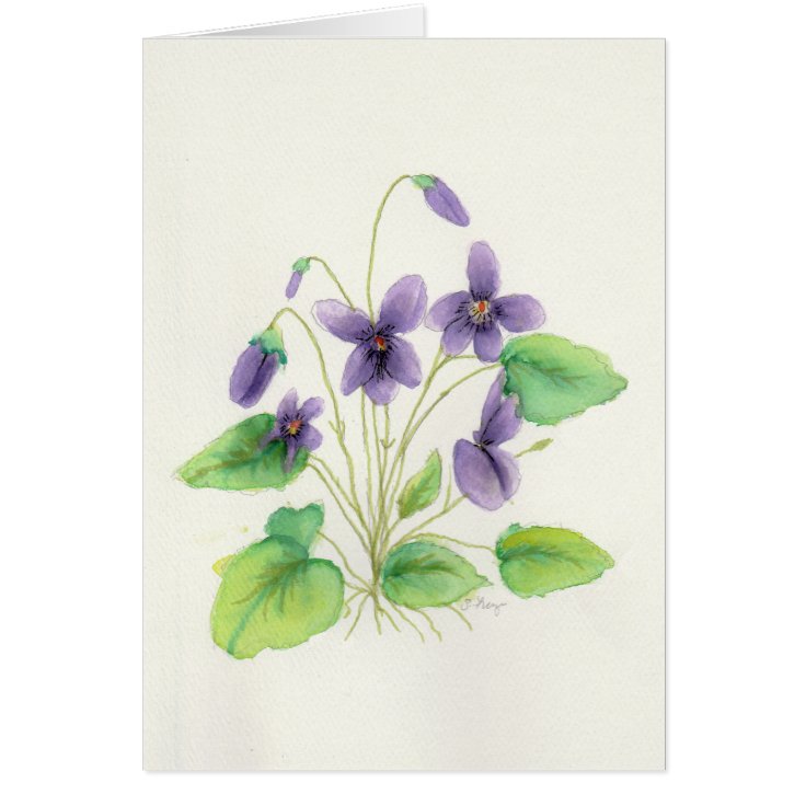 Watercolor Wild Violets Birthday Card | Zazzle