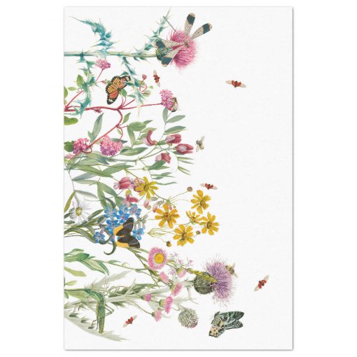 Watercolor Wildflower Insects Floral Spring Garden Tissue Paper | Zazzle