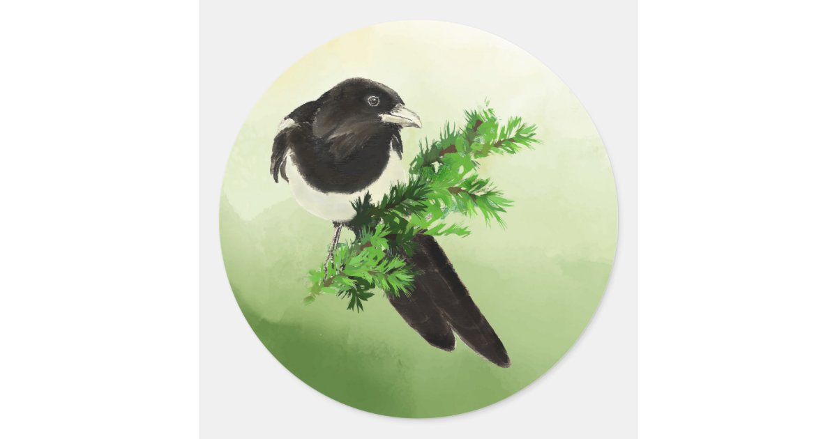 Watercolor Wildlife Magpie Bird Nature art Classic Round Sticker | Zazzle