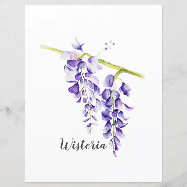 Watercolor Wisteria Botanical Scrapbook Paper | Zazzle