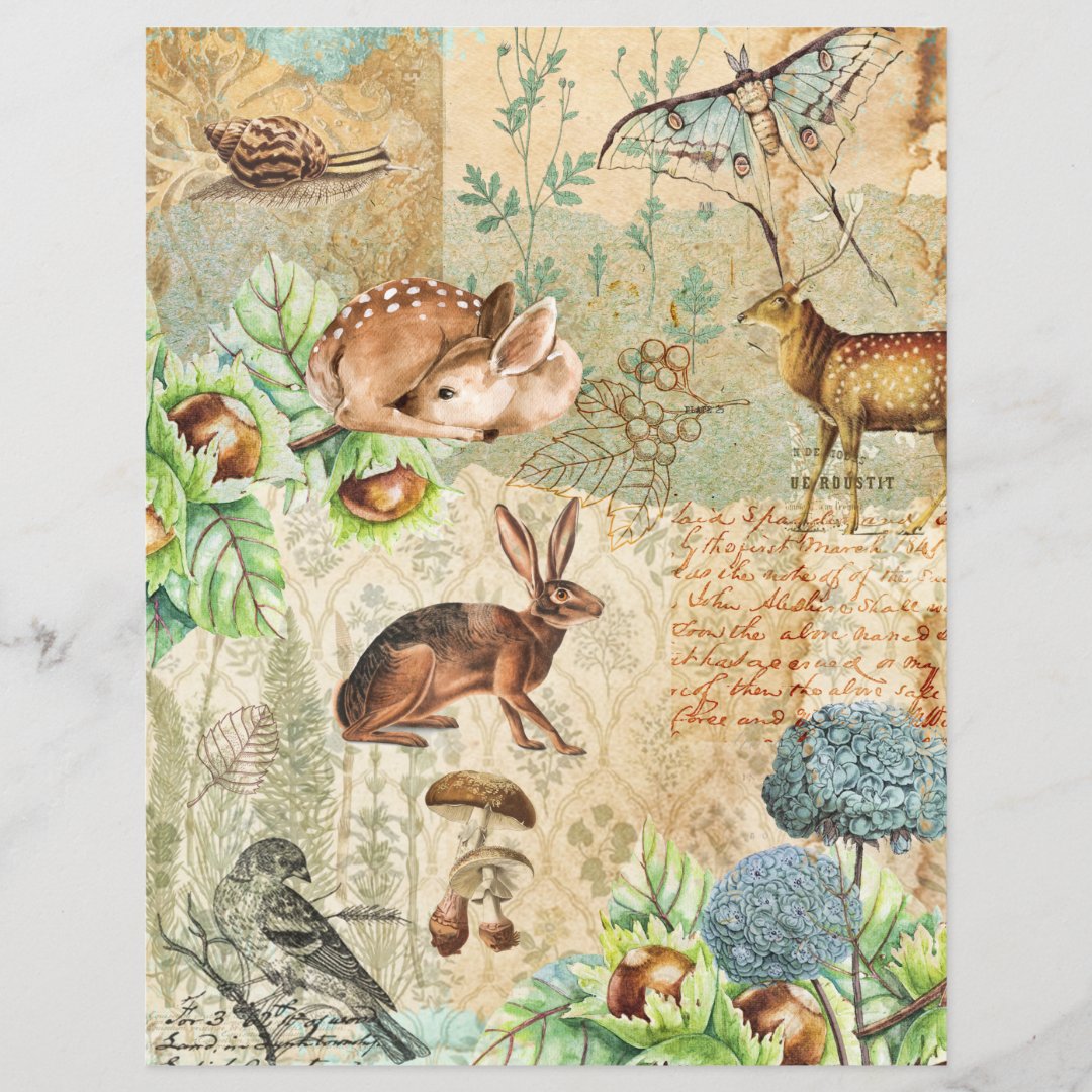 Watercolor Woodland Forest Animals Scrapbook Paper | Zazzle