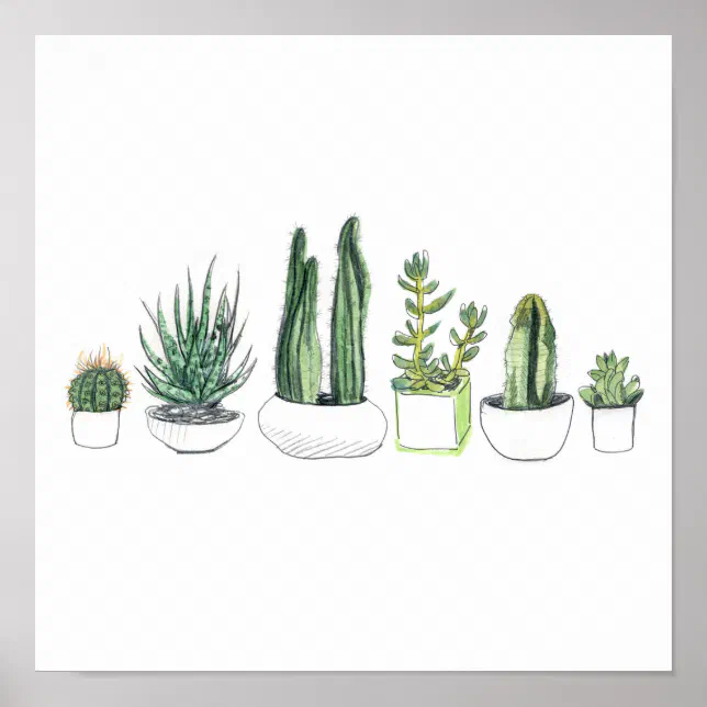 Watercolour Cacti & Succulents Poster | Zazzle
