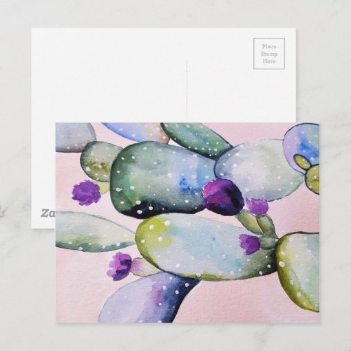 Watercolour Cactus Succulent Flower Plant Postcard | Zazzle