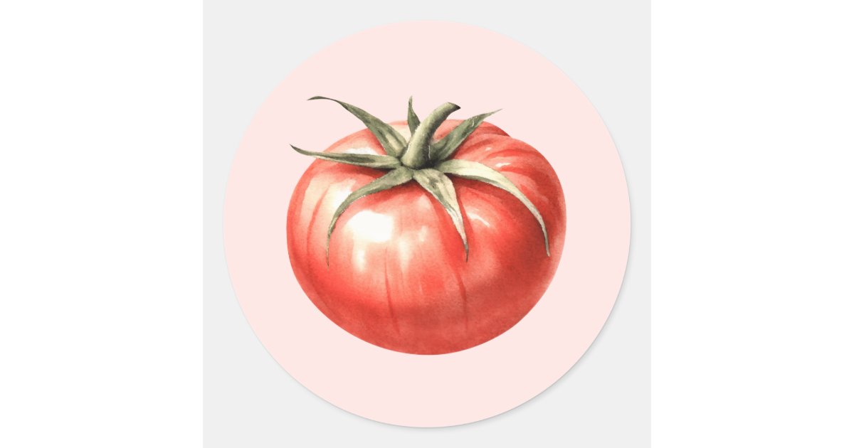 Watercolour tomato illustration classic round sticker | Zazzle