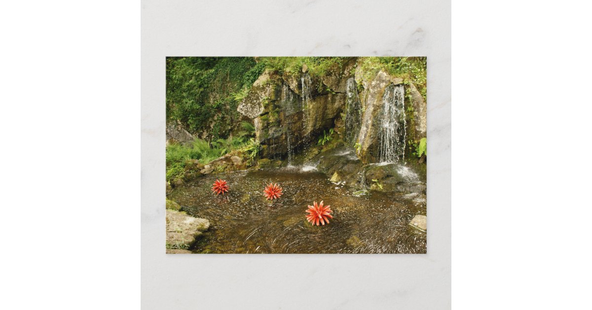 Waterfall Postcard | Zazzle