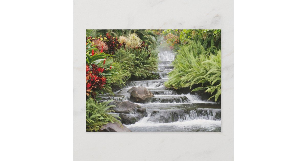 Waterfall Postcard | Zazzle