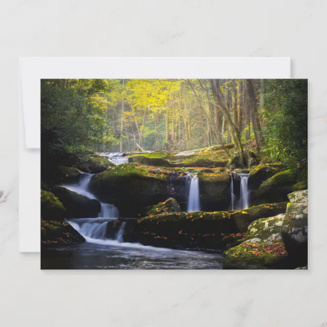 Waterfalls | Great Smoky Mountain National Park Thank You Card | Zazzle