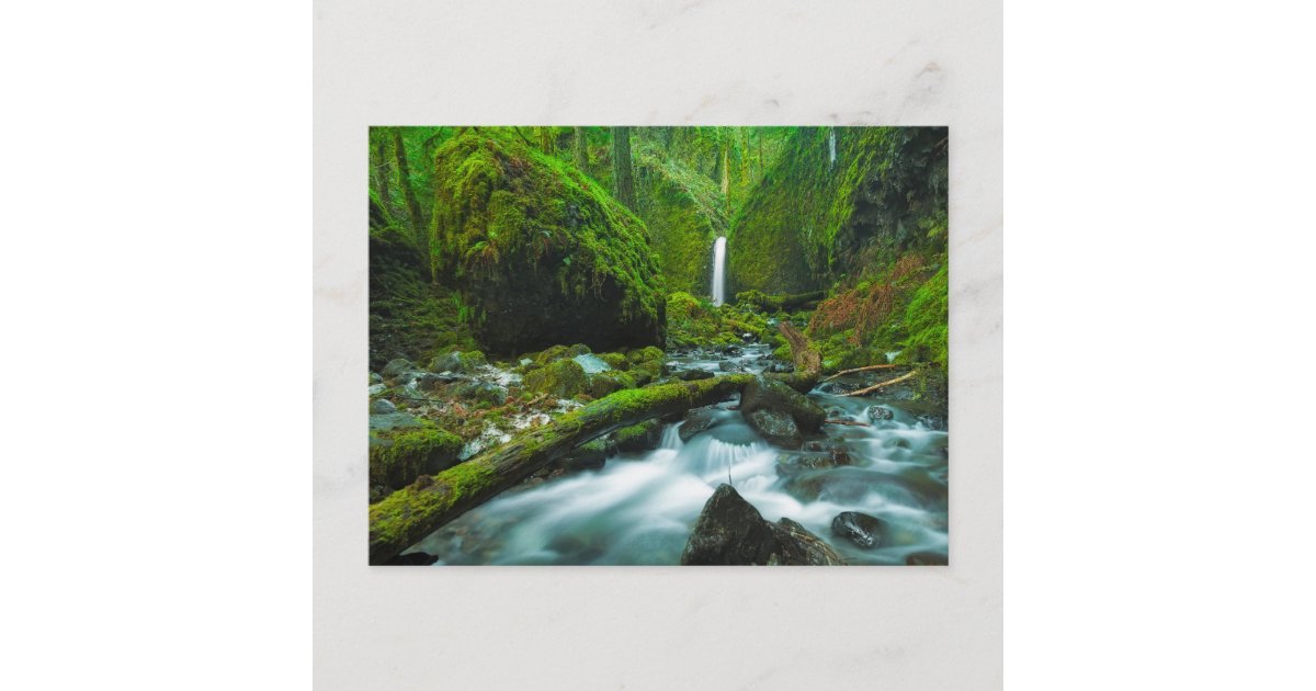 Waterfalls | Grotto Falls, Oregon Postcard | Zazzle