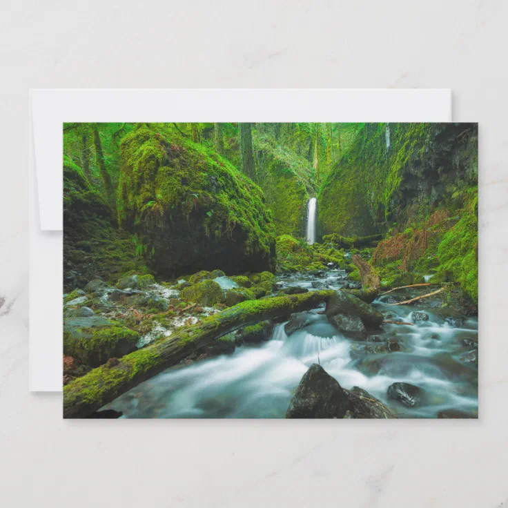 Waterfalls | Grotto Falls, Oregon Thank You Card | Zazzle