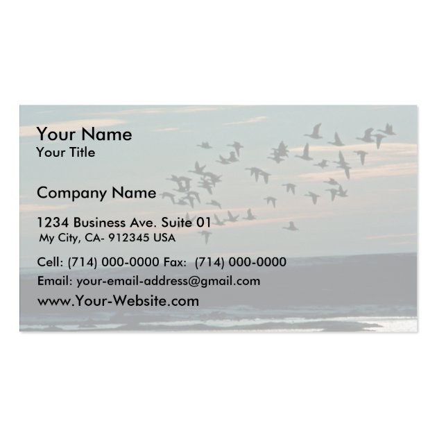 Waterfowl, Arctic National Wildlife Refuge Business Card Template