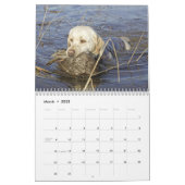 Waterfowl Hunting Calendar | Zazzle