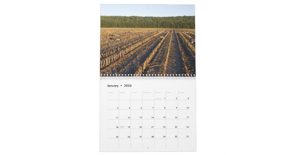 Waterfowl Hunting Calendar | Zazzle