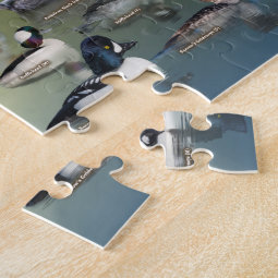 Waterfowl of North America Jigsaw Puzzle | Zazzle
