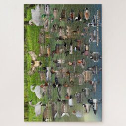 Waterfowl of North America Jigsaw Puzzle | Zazzle