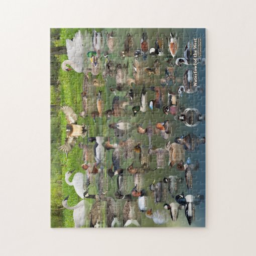 Waterfowl of the West Jigsaw Puzzle | Zazzle