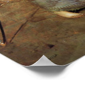 Waterhouse The Magic Circle Poster | Zazzle