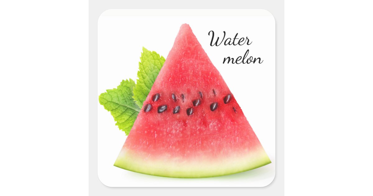 Watermelon and mint square sticker | Zazzle