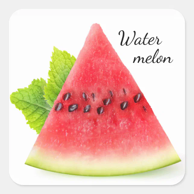Watermelon and mint square sticker | Zazzle