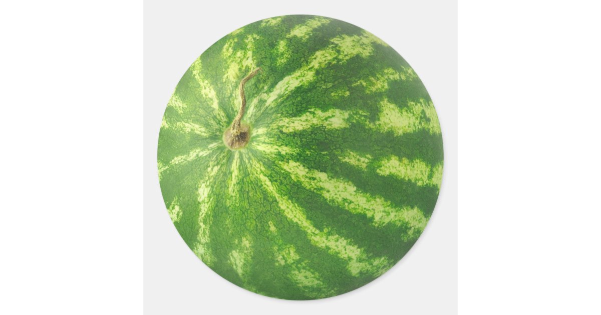 Watermelon Classic Round Sticker | Zazzle