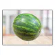 Watermelon Labeling Flashcard | Picture Card | Zazzle