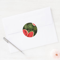 Watermelon Stickers | Zazzle