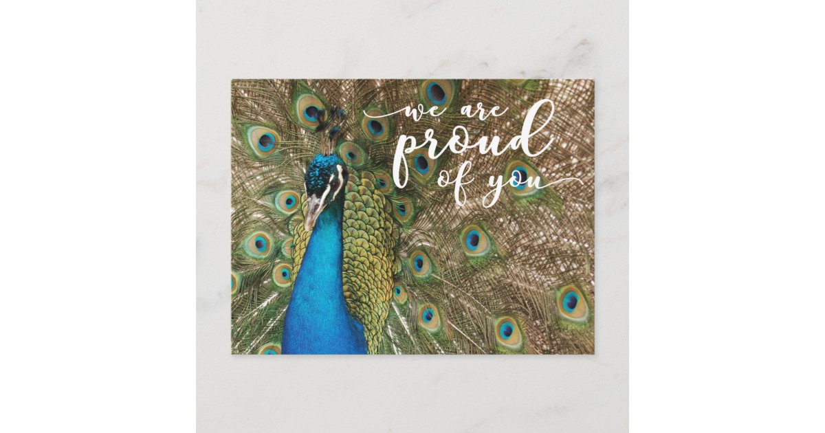 "We Are Proud of You" 2, Peacock Photo Postcard | Zazzle