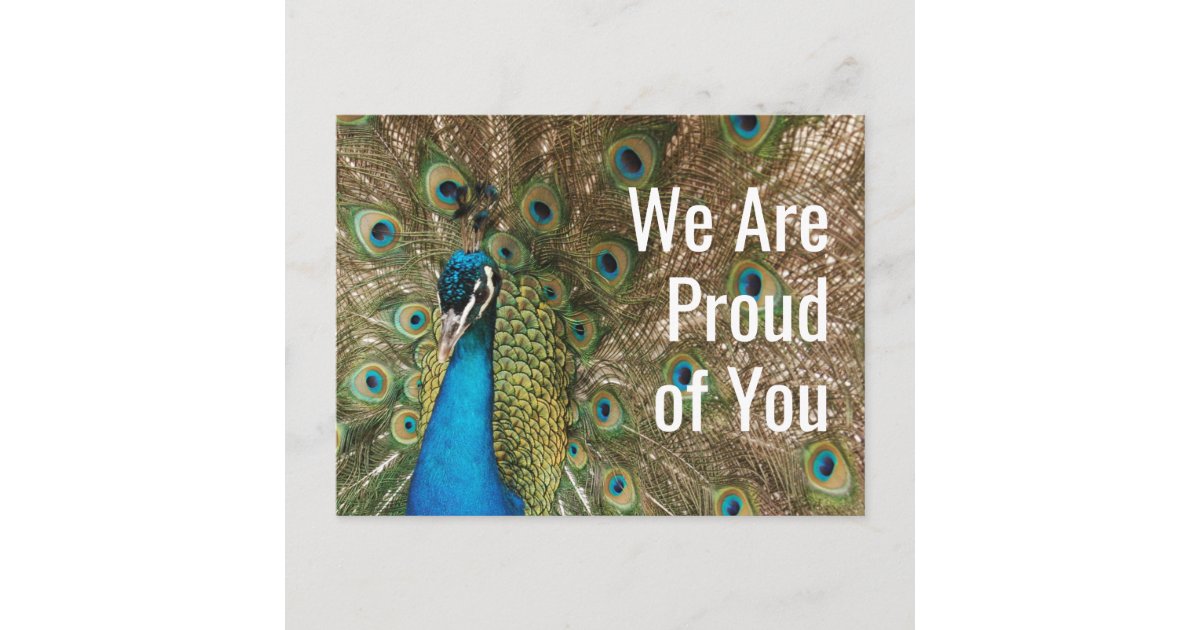 "We Are Proud of You" Beautiful Peacock Photo Postcard | Zazzle