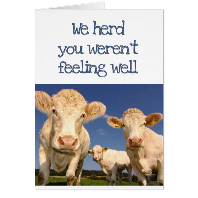 We Herd You Weren't Feeling Well Fun Cow Humor | Zazzle