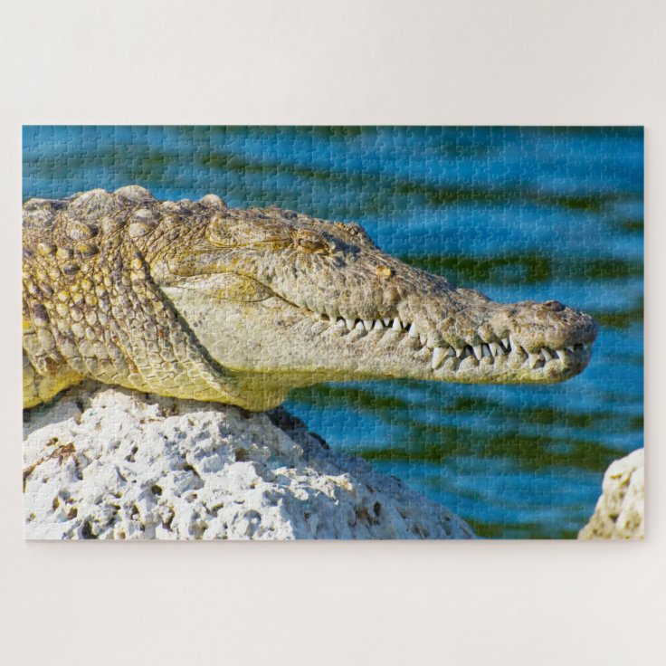 We love Gators in Florida Jigsaw Puzzle | Zazzle