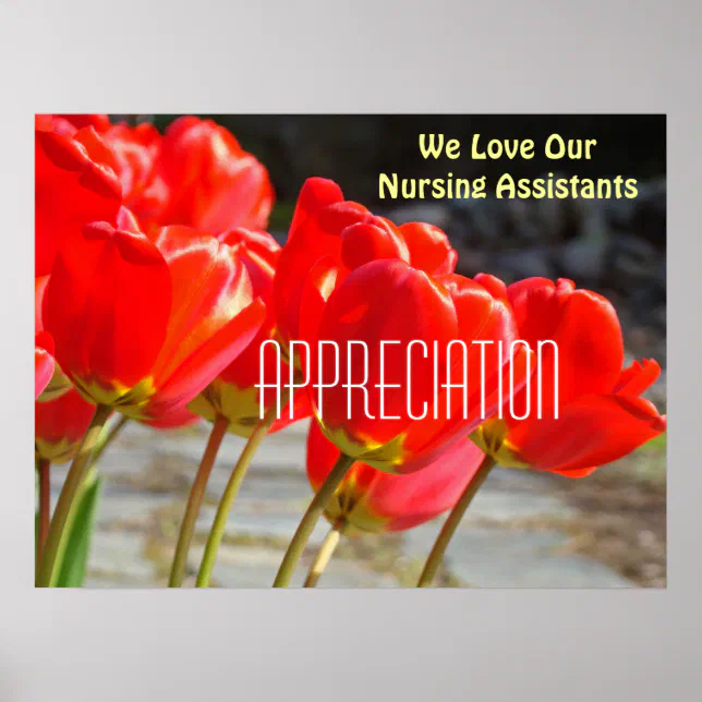We Love Our Nursing Assistants poster Appreciation | Zazzle