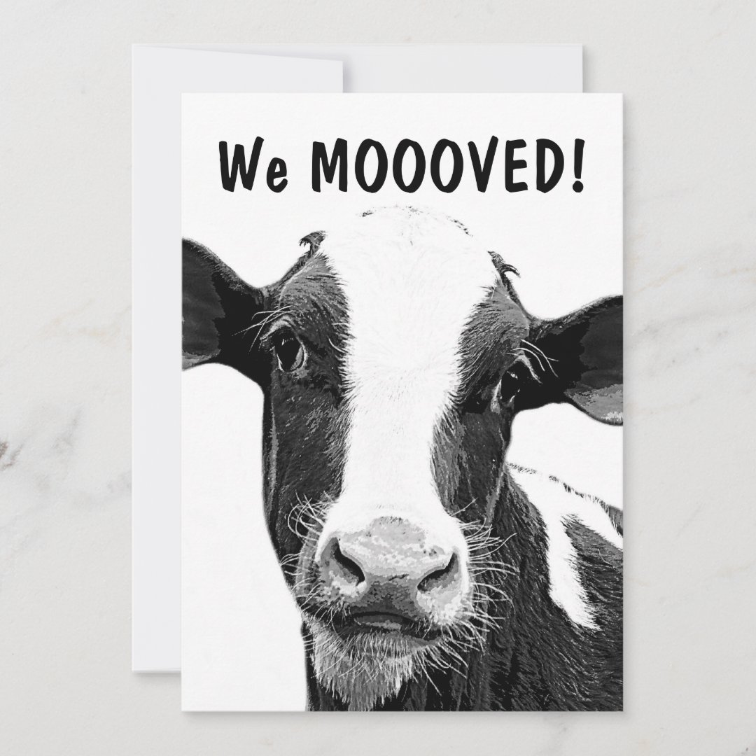 We Moved MOOO Cow Housewarming Party Invitation | Zazzle