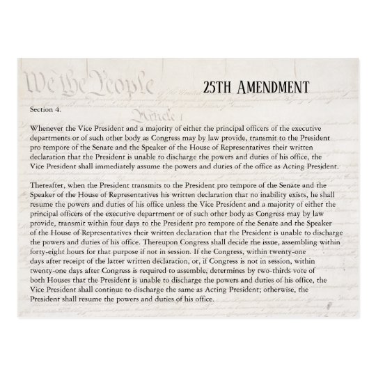 We the People 25th Amendment Constitution Resist Postcard | Zazzle.com