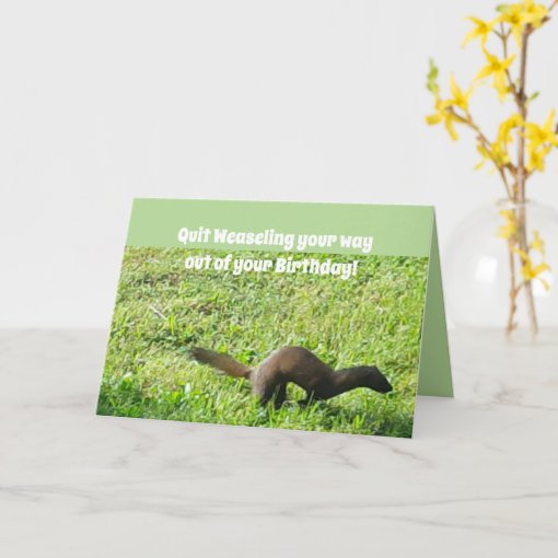 Weaseling Out Birthday Card | Zazzle