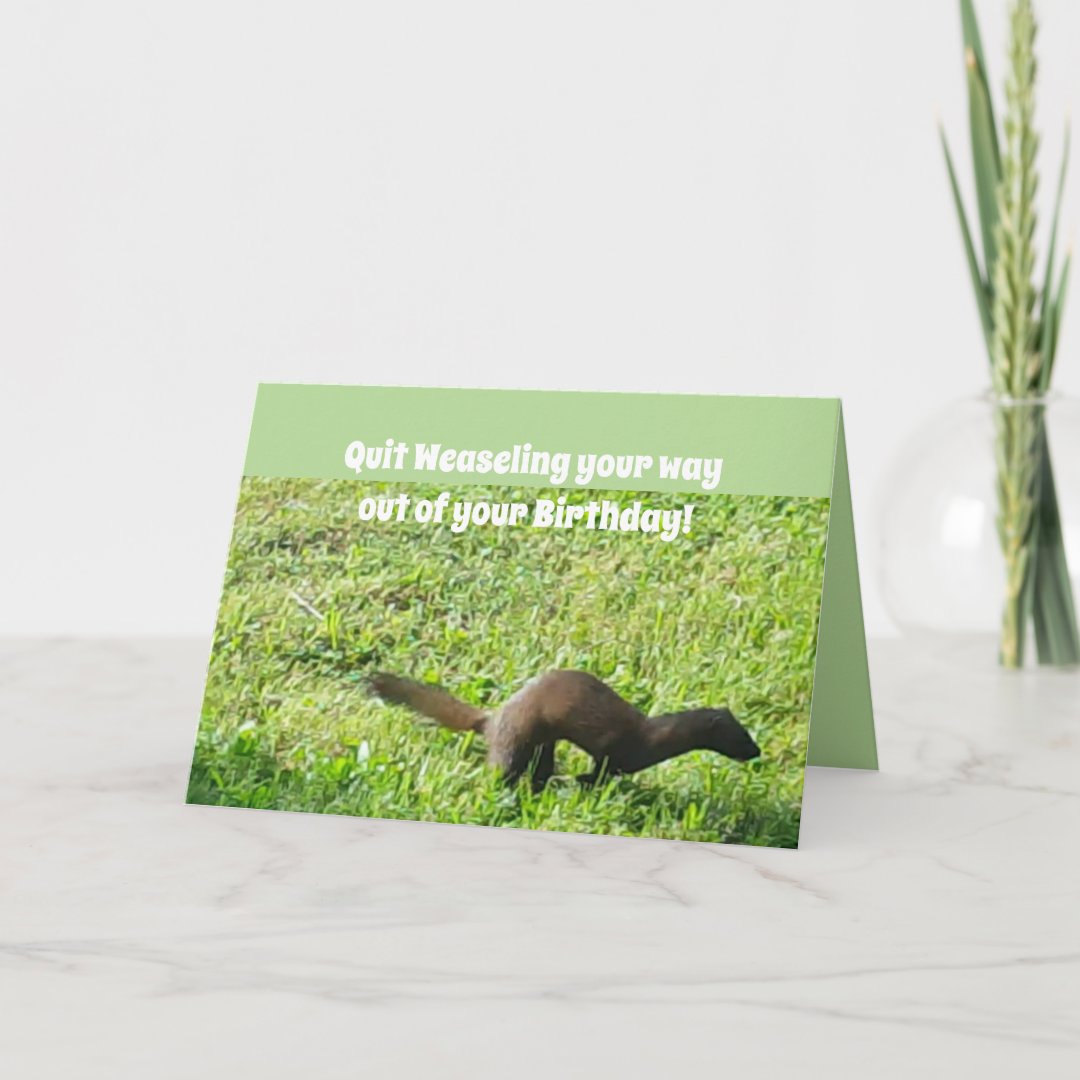 Weaseling Out Birthday Card | Zazzle