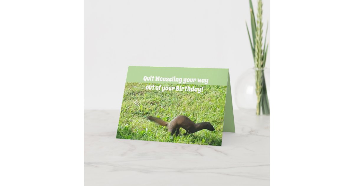Weaseling Out Birthday Card | Zazzle