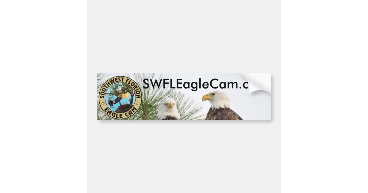 Website Bumper Sticker | Zazzle