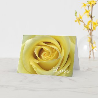 Wedding Anniversary Yellow Rose Photograph Card | Zazzle