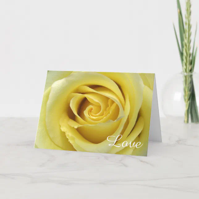 Wedding Anniversary Yellow Rose Photograph Card | Zazzle
