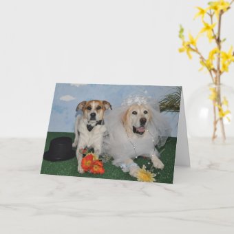 Wedding card, photo of 2 dogs on wedding day card | Zazzle