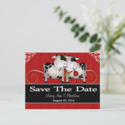 Wedding Cows Save the Date Postcard | Zazzle