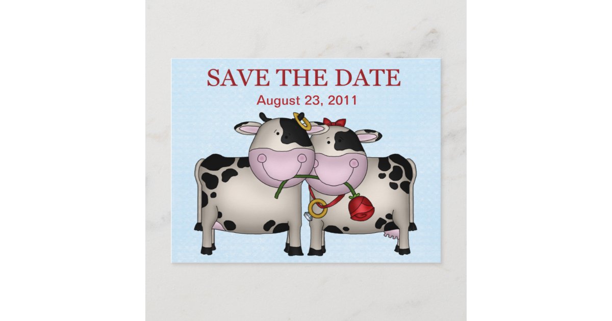 Wedding Cows Save the Date Postcard | Zazzle