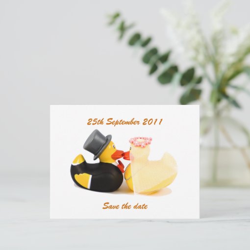 Wedding ducks ... Postcard | Zazzle