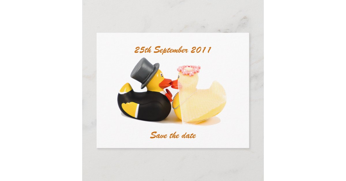 Wedding ducks ... Postcard | Zazzle