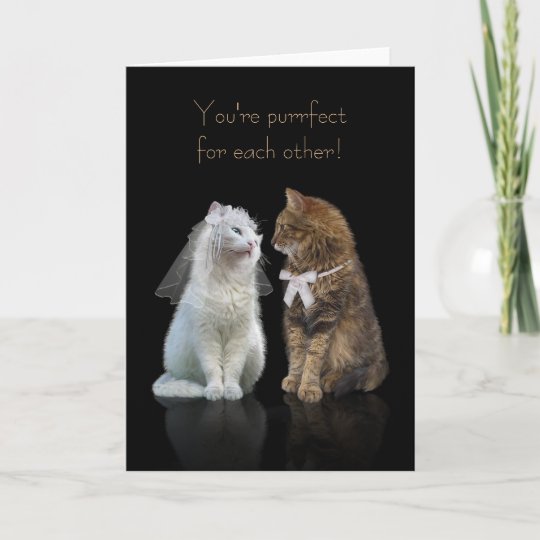 Wedding / Engagement Congratulation for Cat Lovers Card | Zazzle.com